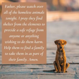 10 Ways to Pray for the Homeless