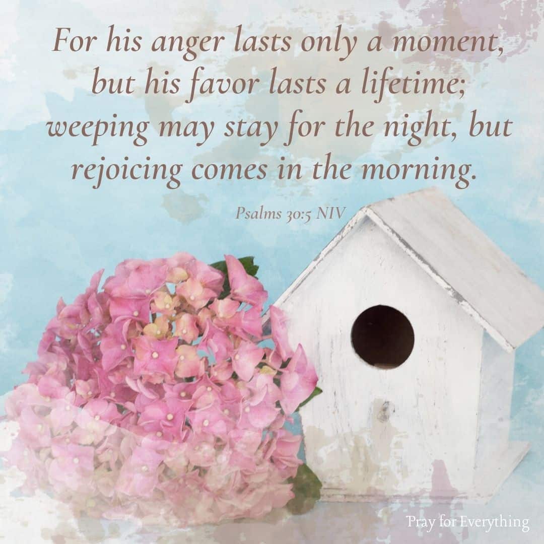 14 Hopeful Psalms to Pray for Comfort