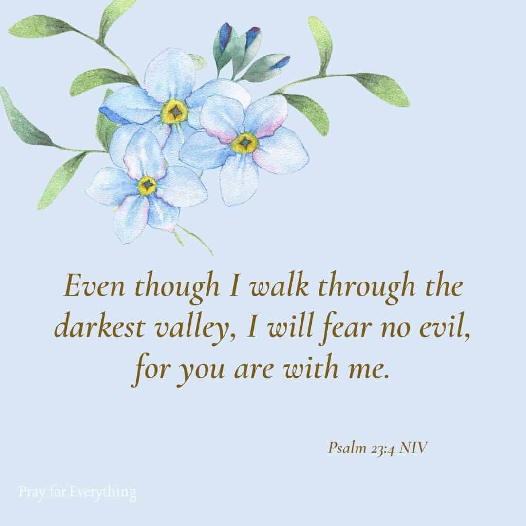 17 Powerful Psalms for Strength to Pray When You Need Help