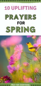 10 Uplifting Prayers for Spring