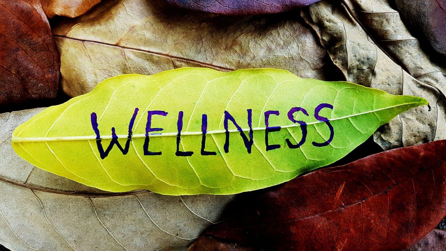 11 Powerful Prayers for Wellness and Wellbeing