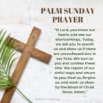 12 Palm Sunday Prayers